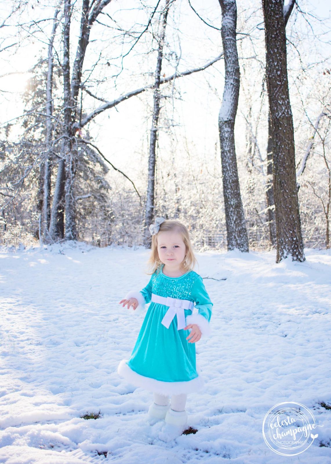 frozen photography | portraits in the snow - Celesta Champagne Photography